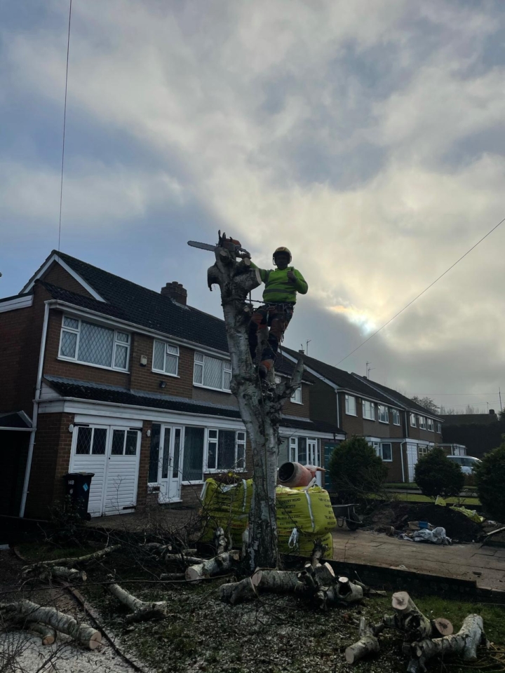 Tree Surgery West Midlands 🌳 | J and Son Trees and Landscapes 🏡